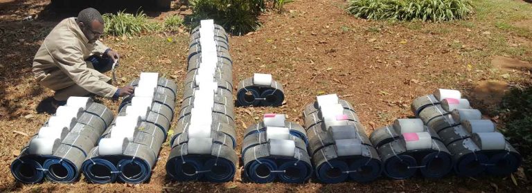 About Us - Savannah Tracking